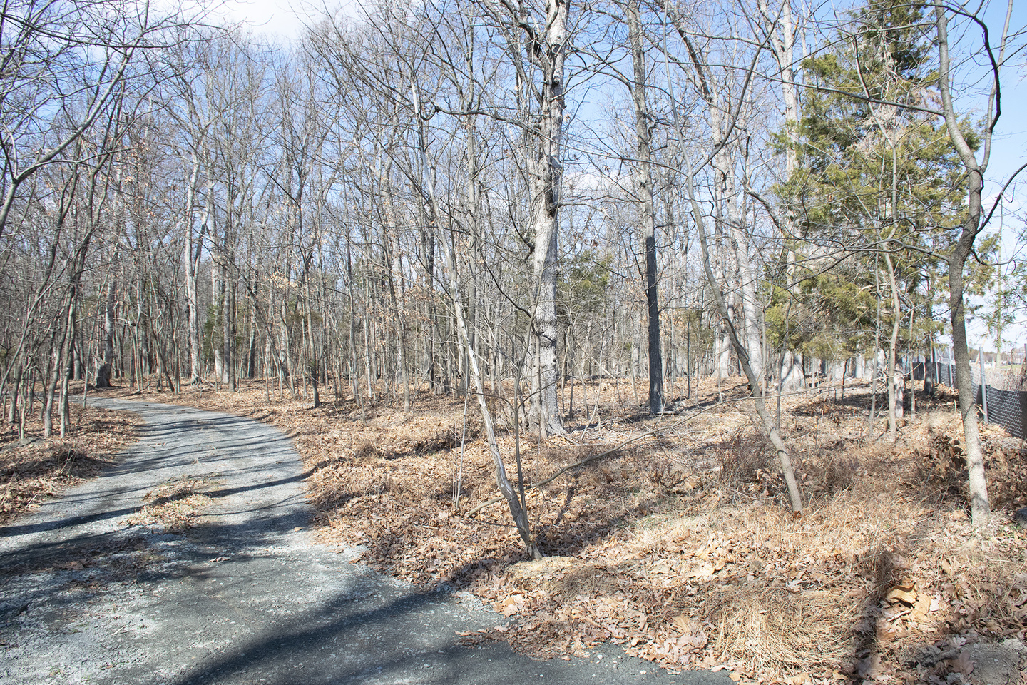 19817 Belmont Ridge Road, Ashburn, VA 20147 | MLS # 10234781