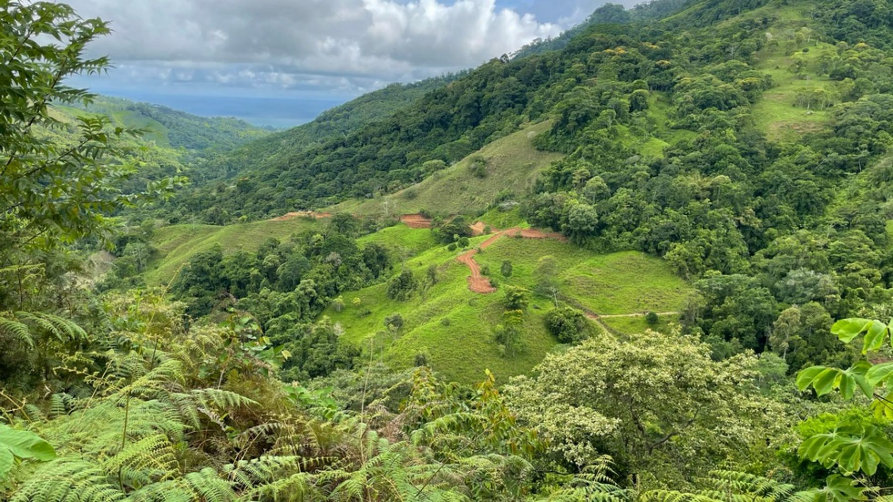 Incredible 148 Acres Riverfront Farm With Swimming Holes And Waterfalls ...