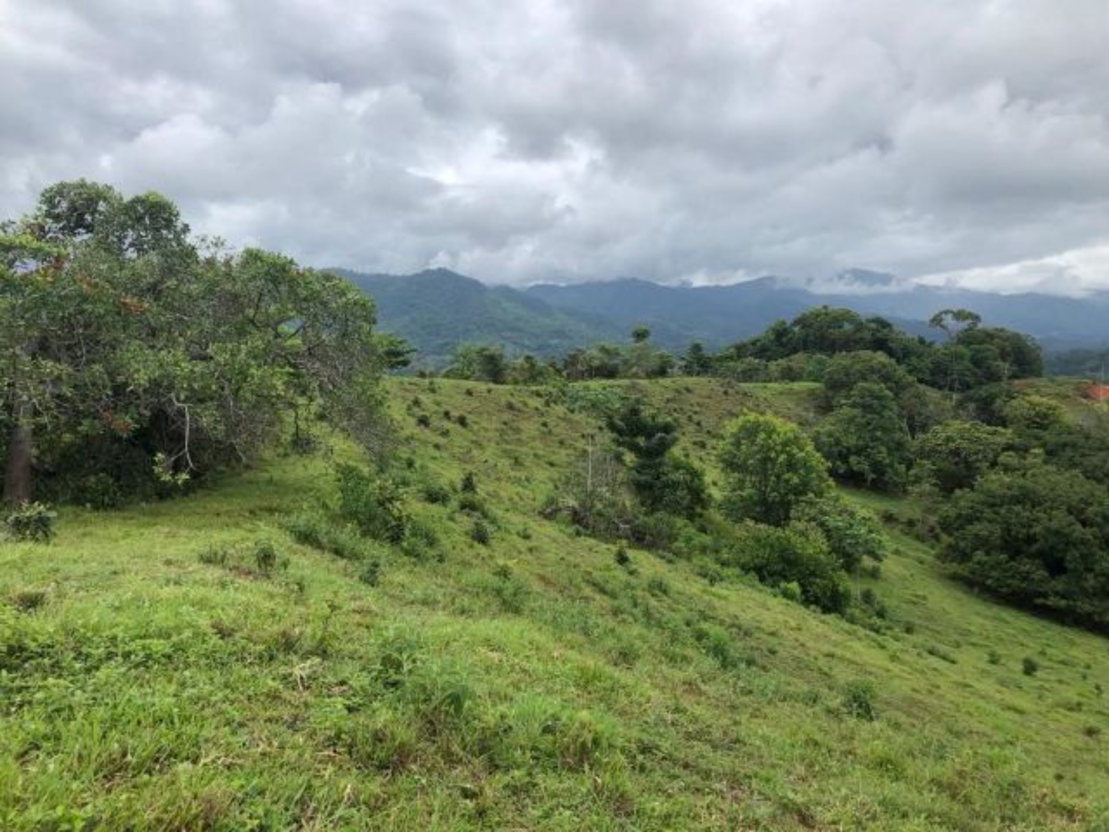 Montebello Ranch, Quepos, Manuel Antonio, Naranjito, Quepos, Puntarenas ...