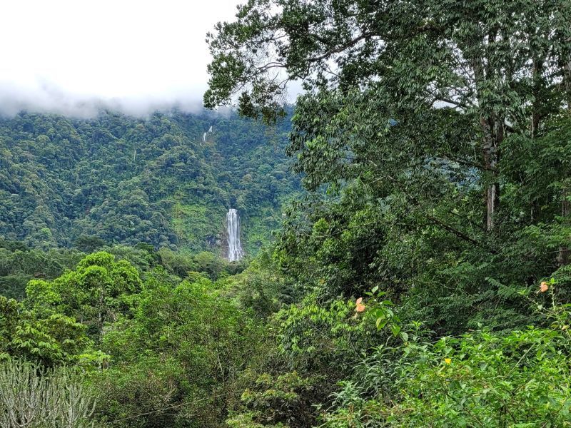 Tropical Paradise With Breathtaking Diamante Waterfall Views ...