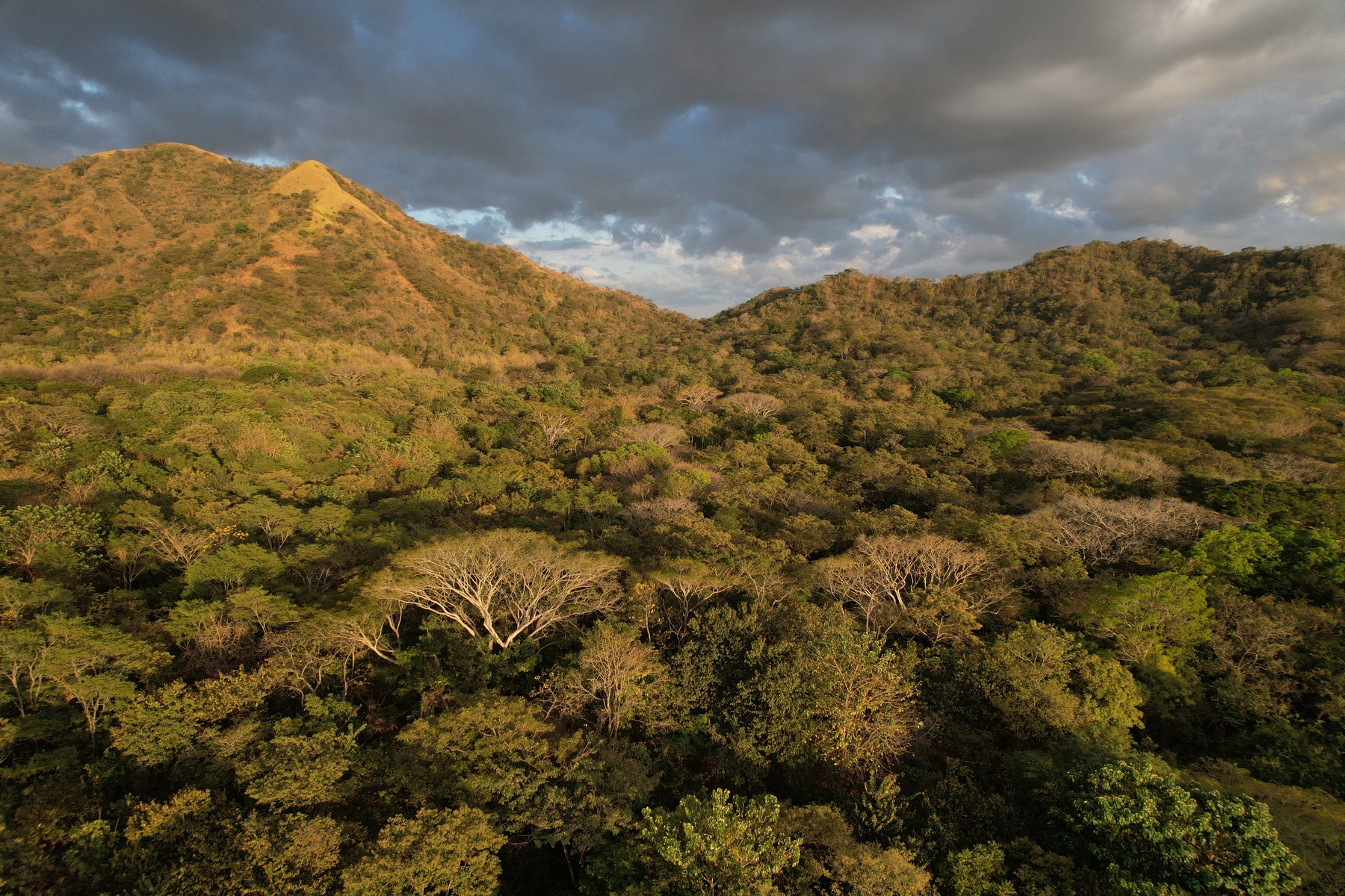 Unique Affordable Lots In La Senda Sanctuary, Tamarindo, Santa Cruz, Guanacaste, Costa Rica 50303